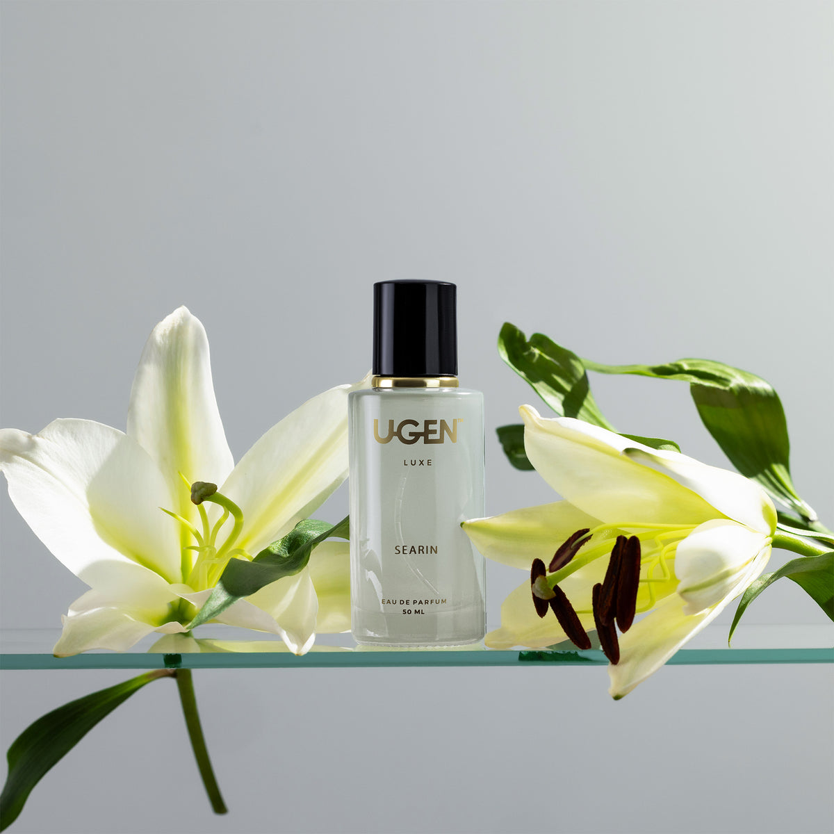 Searin – Ugen - Stay Fresh, Stay U